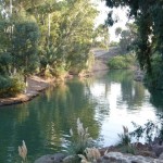 Jordan Miracles - Pearls of Promise